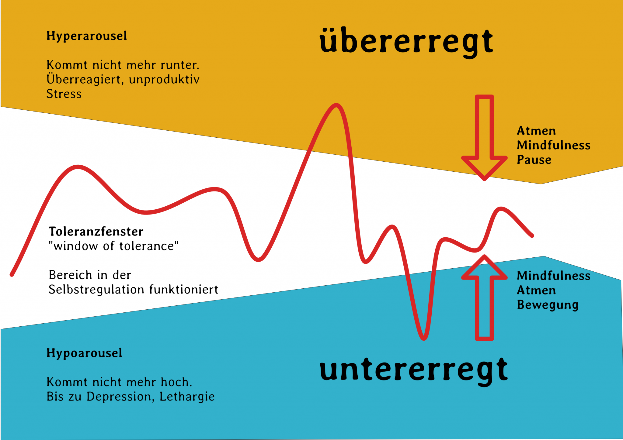 Window of Tolerance – Rubin Institut